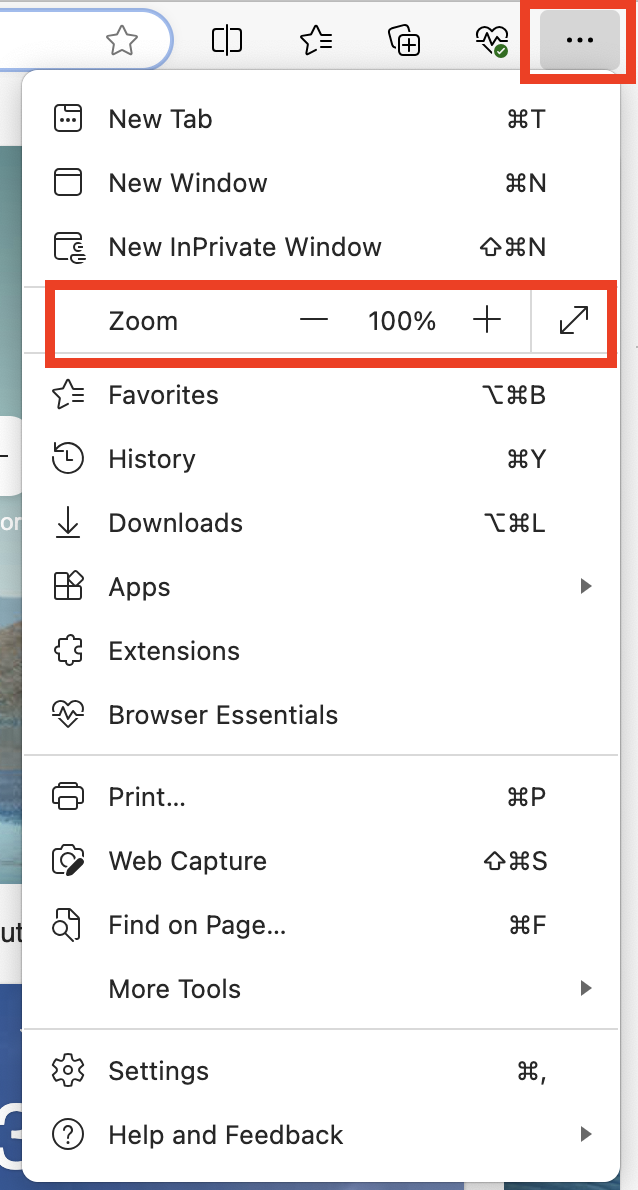 Changing Font Sizes and Magnify Content in my Browser